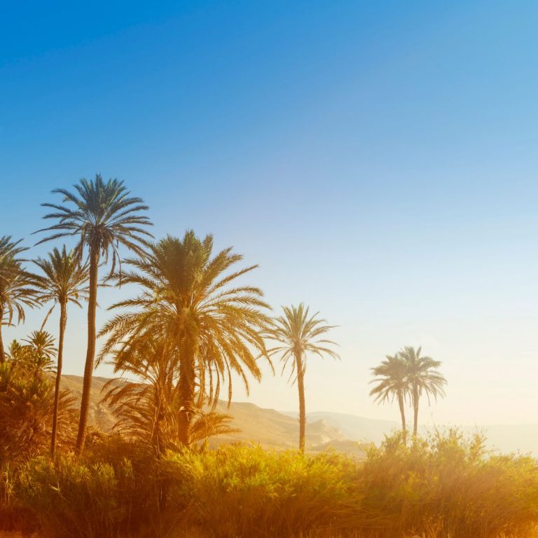 #164 Entdecke die verborgene Oase in dir: Wie du Stille für mehr innere ...